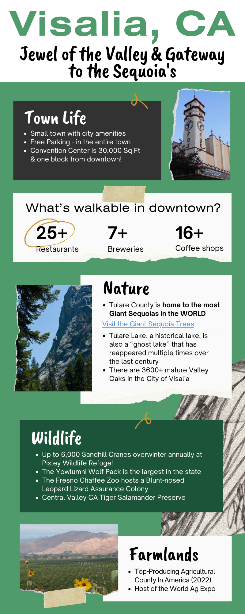 Venue – Lodging – Transportation – 2025 Annual Meeting of TWS-WS